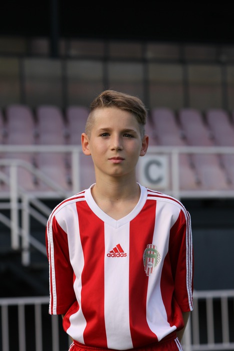 Vítek Novák :: fvz2006